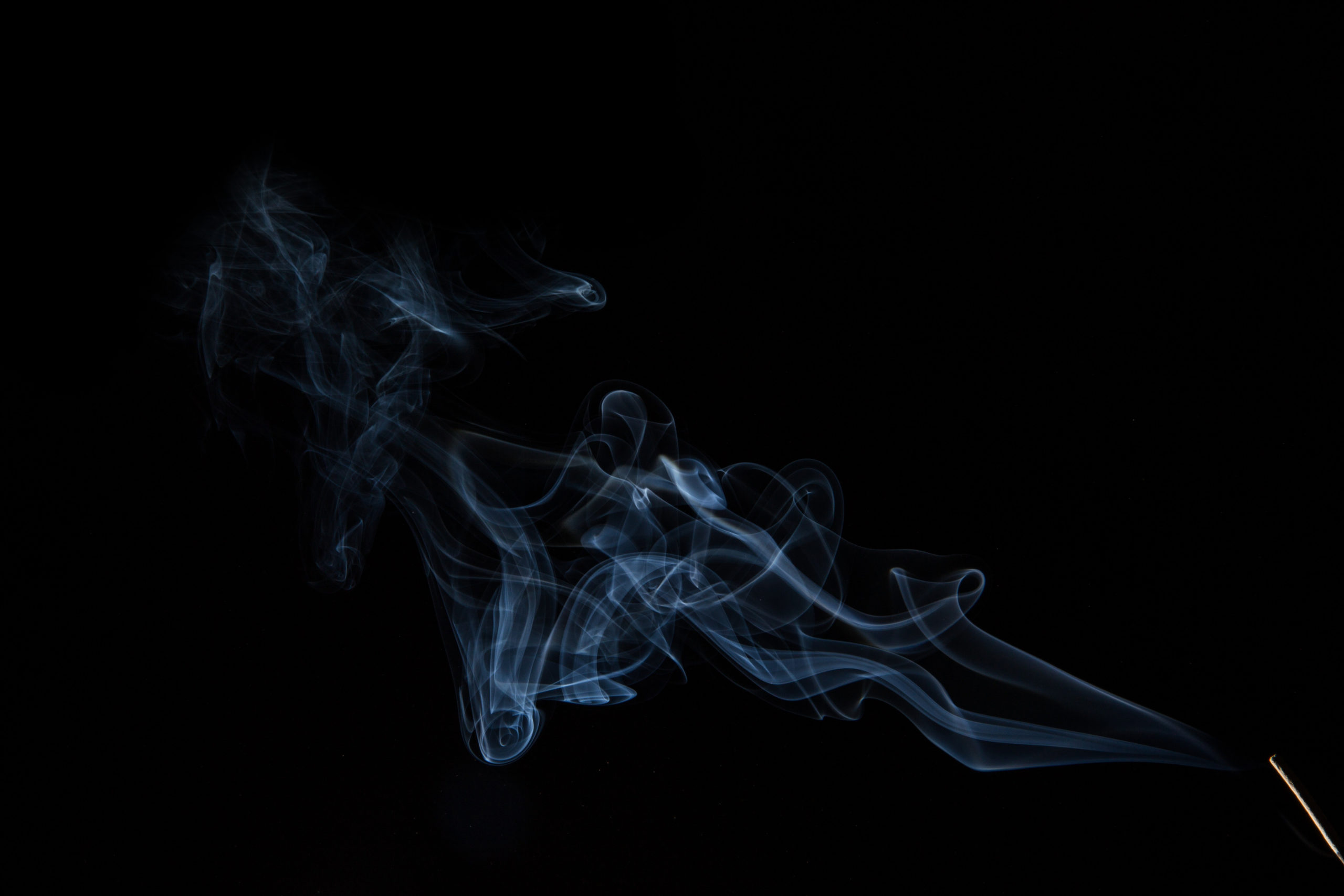 Budlandia | Portland Cannabis Dispensary | Quality Marijuana